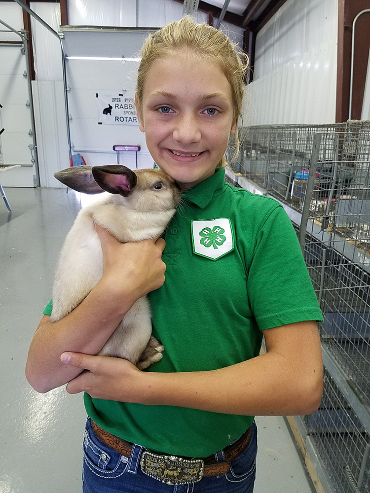 Rabbit show held at Inter-State Fair - Inter-State Fair and Rodeo