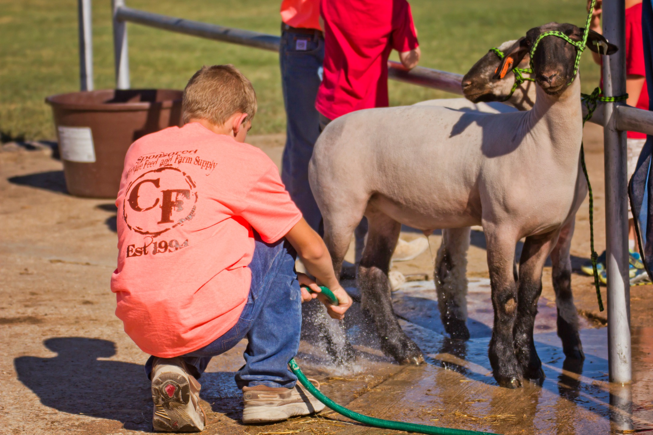 Making it better for the kids, livestock show changes benefit youth ...