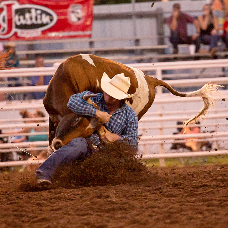 Home - Inter-State Fair and Rodeo