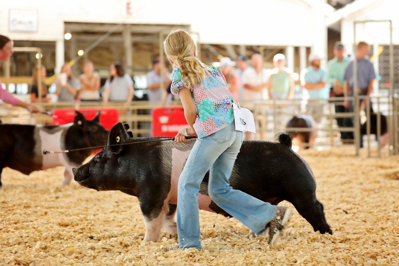 Results - Inter-State Fair and Rodeo